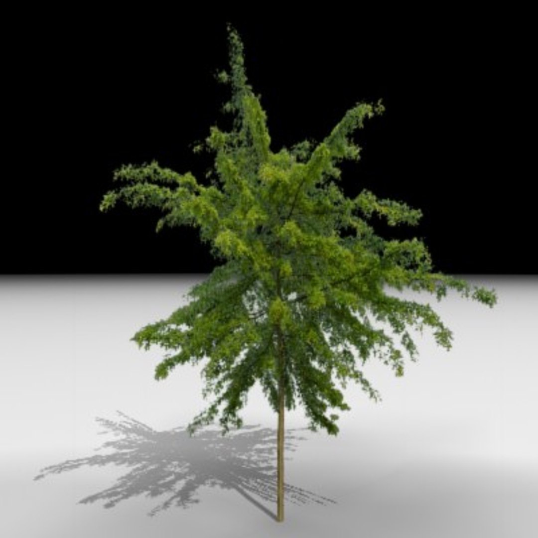 Tree Plant 3d Model