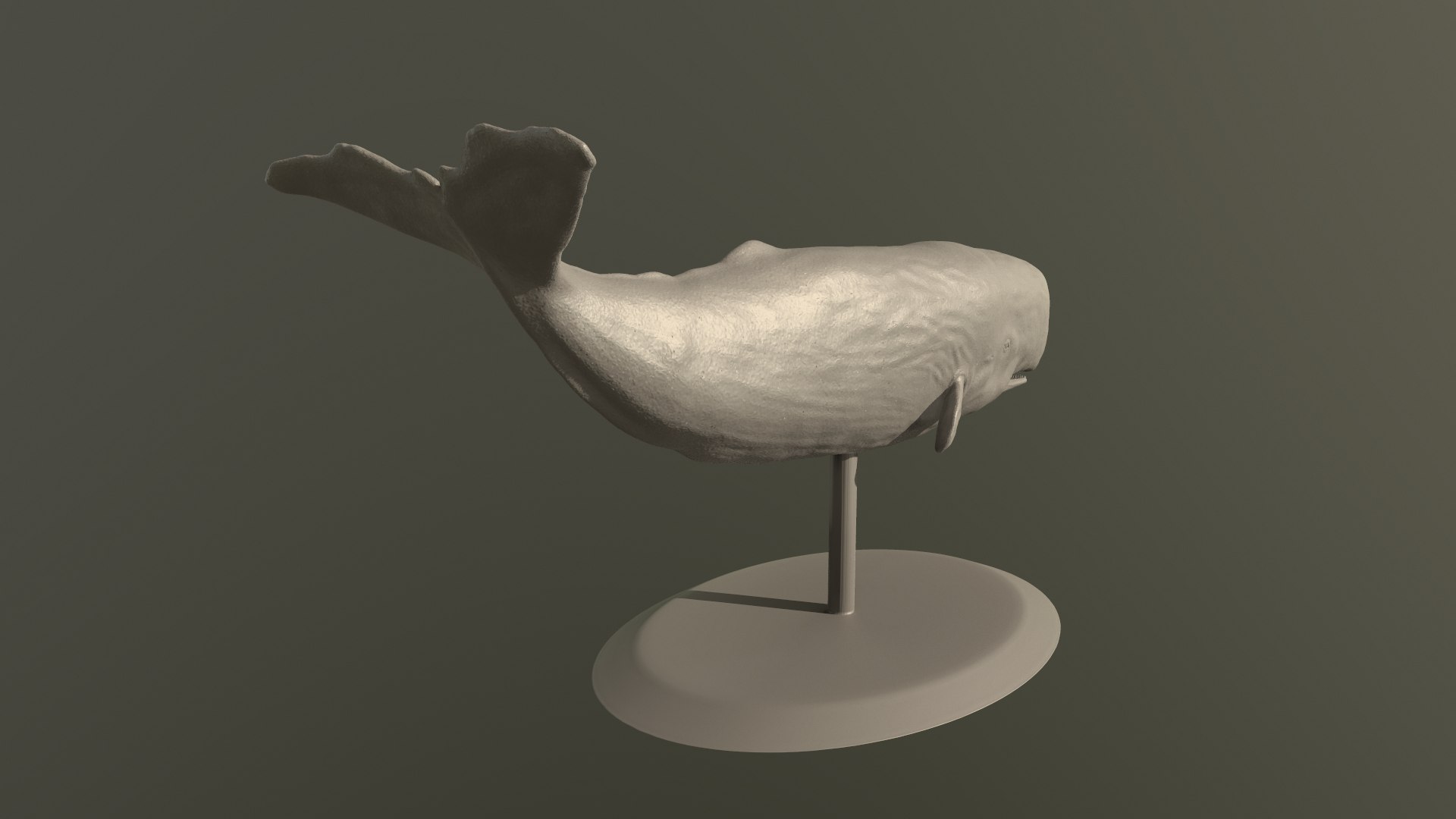 Whale Printing 3D Model - TurboSquid 1602767