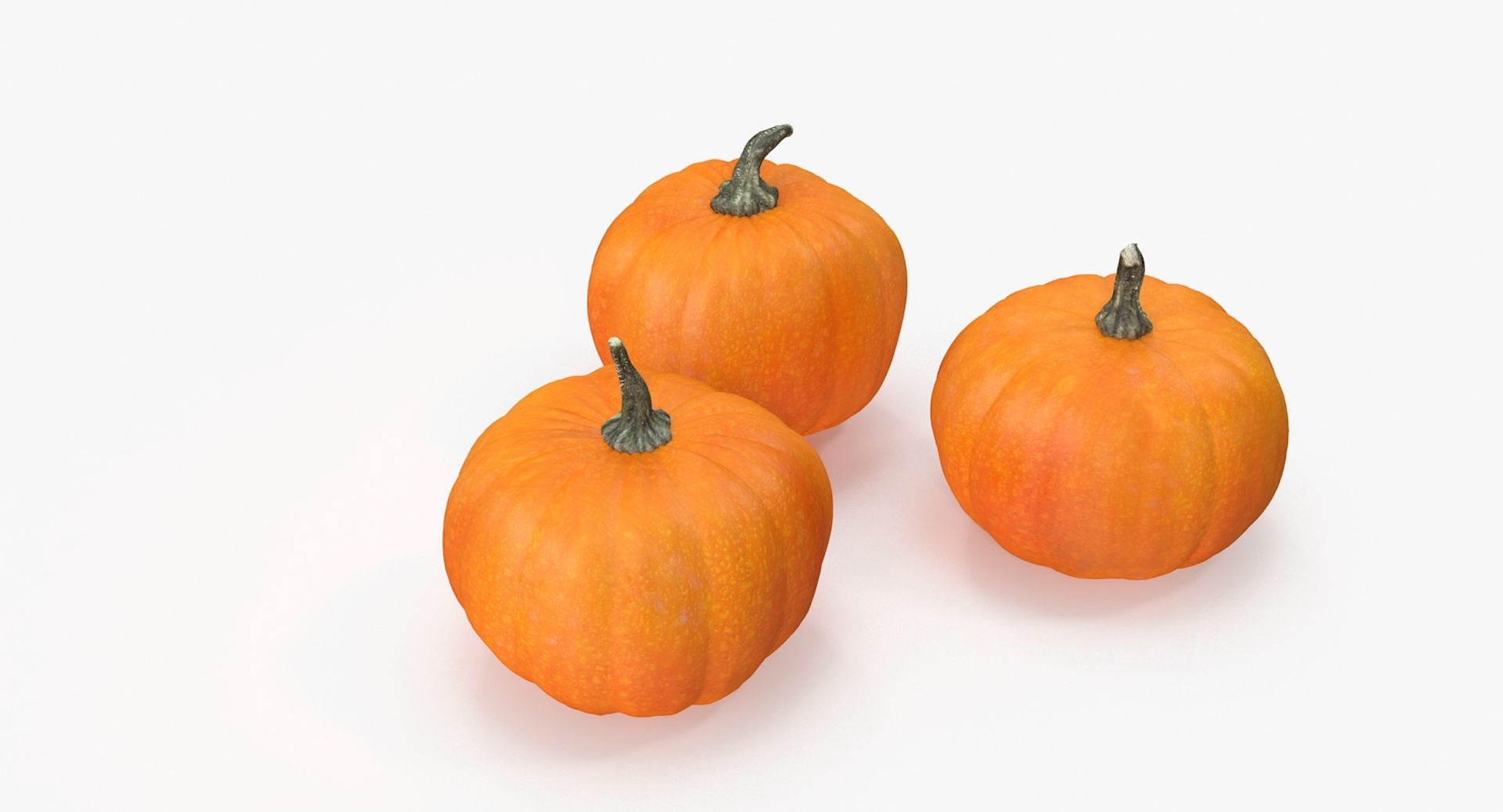Pumpkins model - TurboSquid 993405