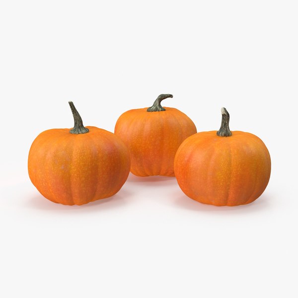 Pumpkin-patch---group 3D model - TurboSquid 1324249