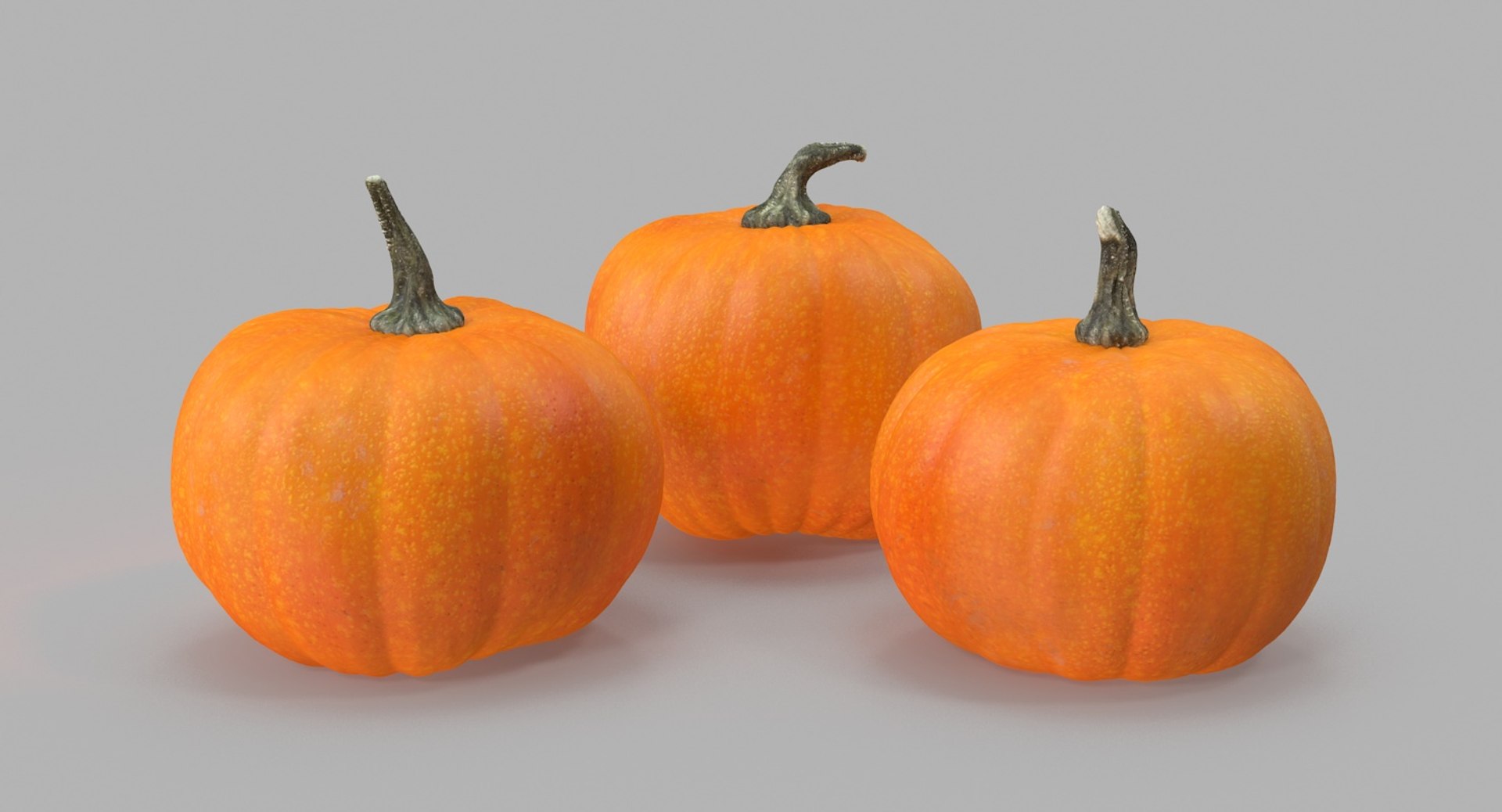 Pumpkins model - TurboSquid 993405