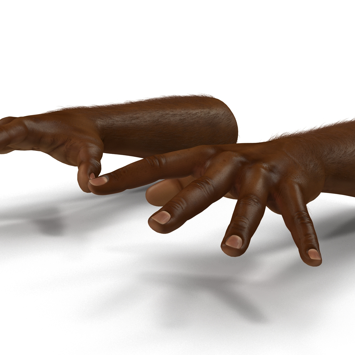 african man hands fur 3d max