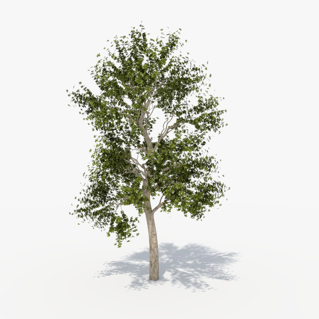 3d Model Tree