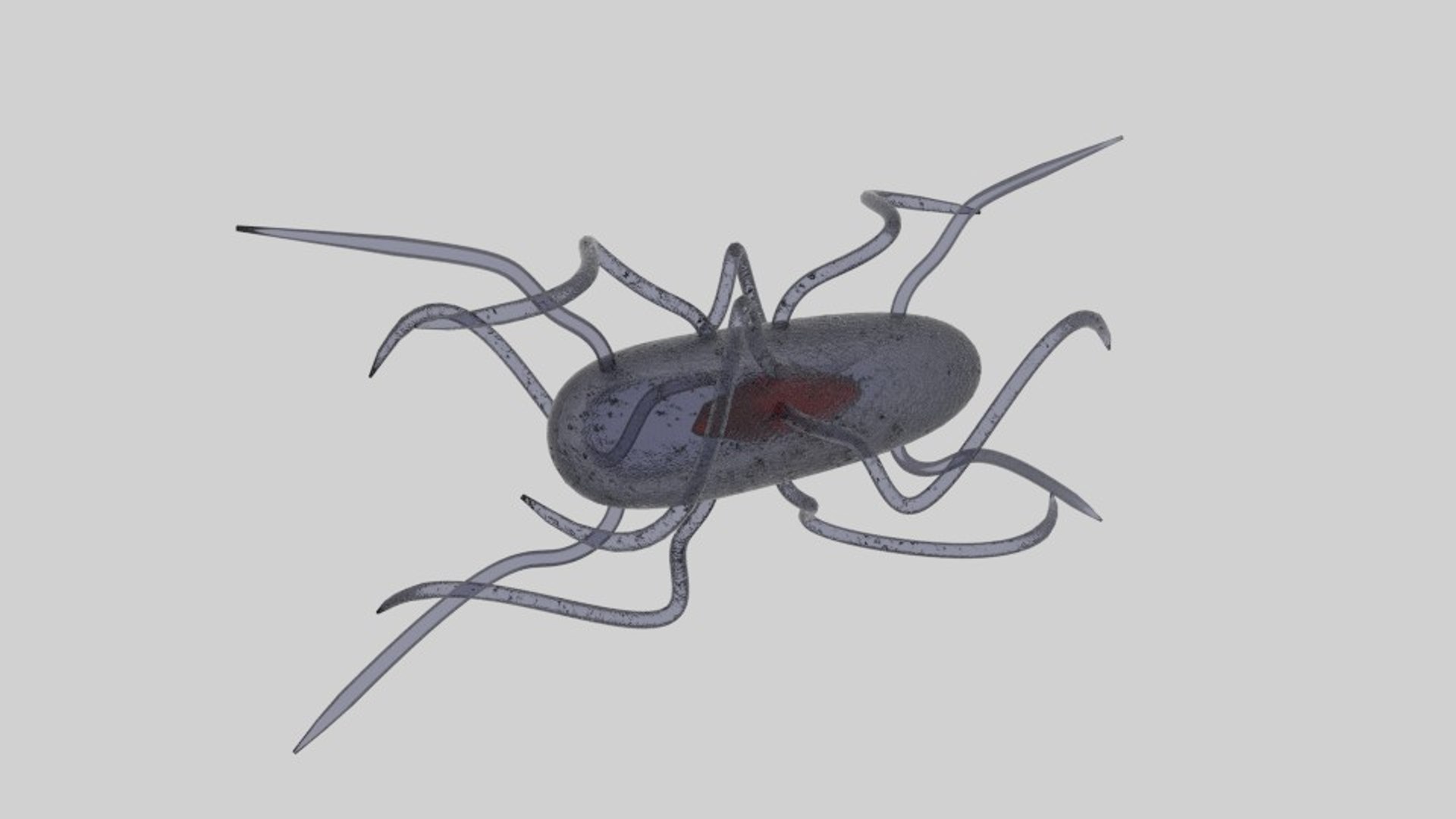 Bacteria 3d Model