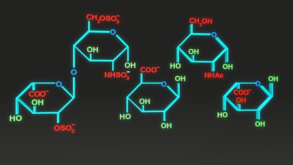 Chemical structure heparin model - TurboSquid 1238352