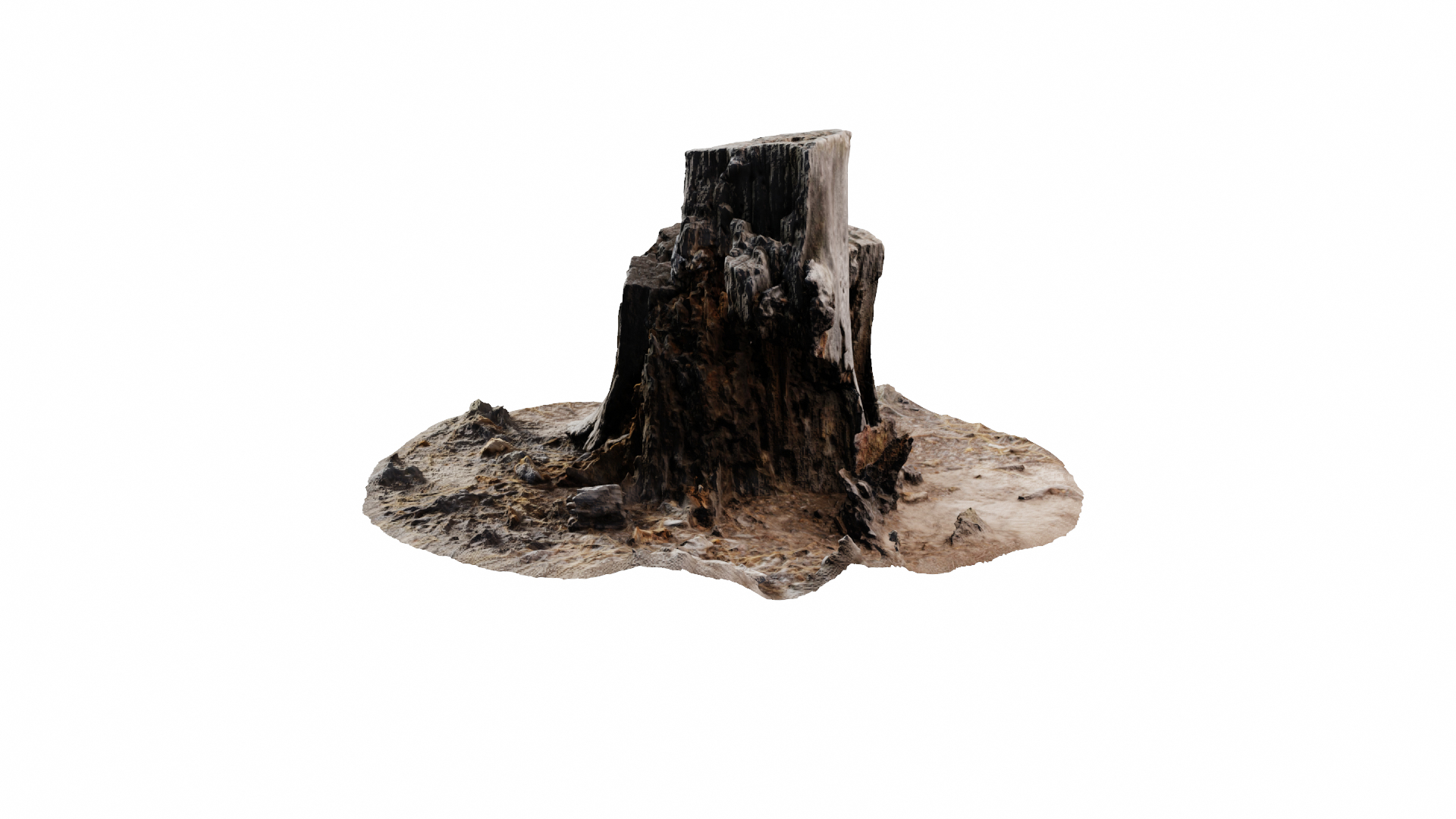 Rotten stump 3D model - TurboSquid 1391975