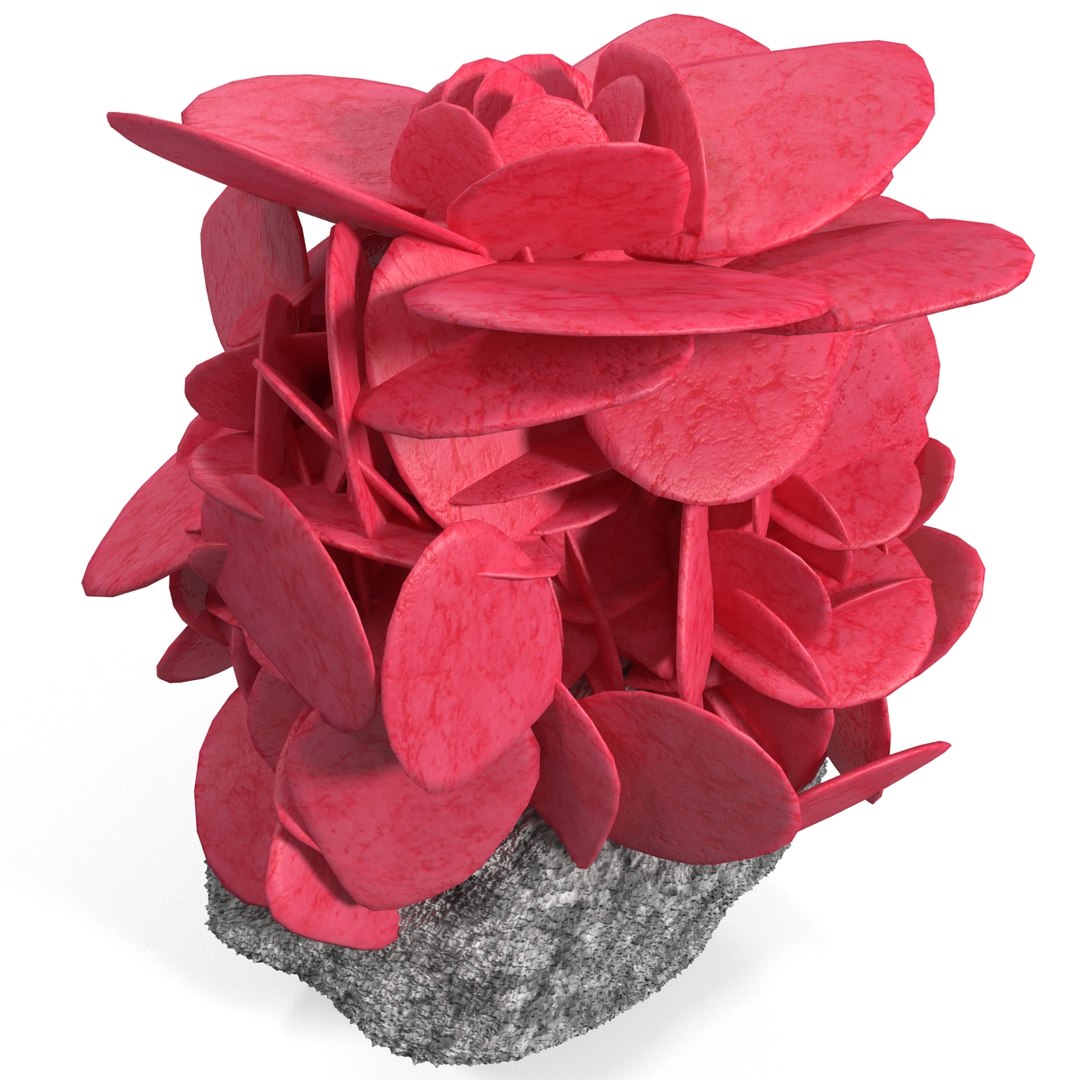 Red Quartz Crystals 3d Model