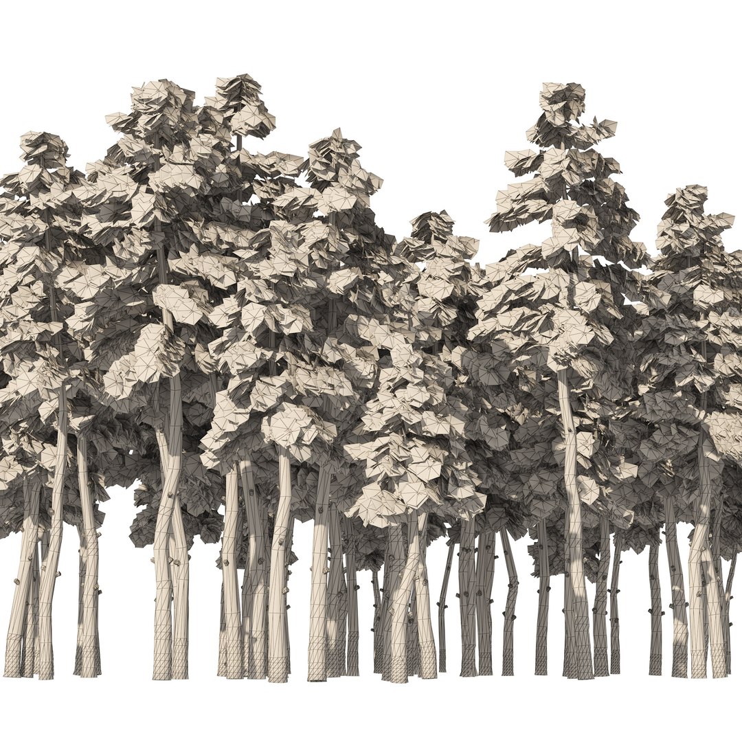 Douglas-fir Large Tree Forest Model - TurboSquid 1997192