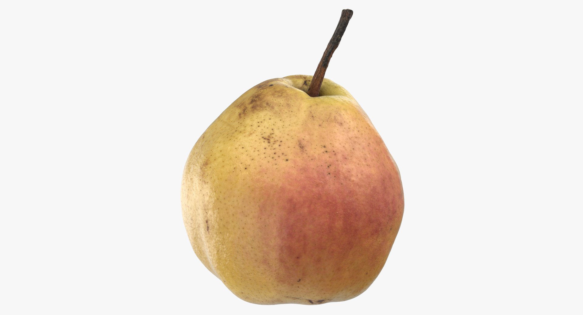 Comice Pear 02 3D Model - TurboSquid 1399246