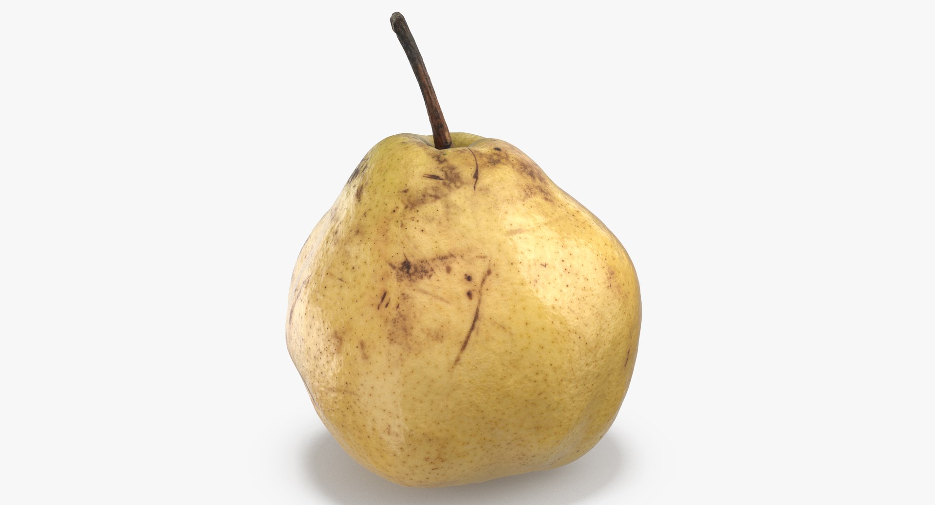 Comice Pear 02 3D Model - TurboSquid 1399246