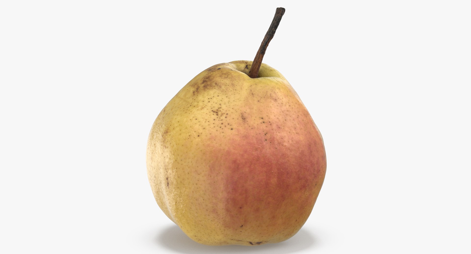 Comice Pear 02 3D Model - TurboSquid 1399246