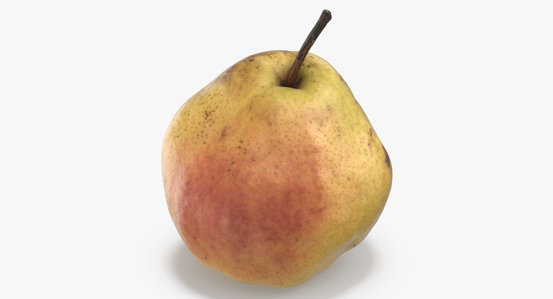 Comice Pear 02 3D Model - TurboSquid 1399246