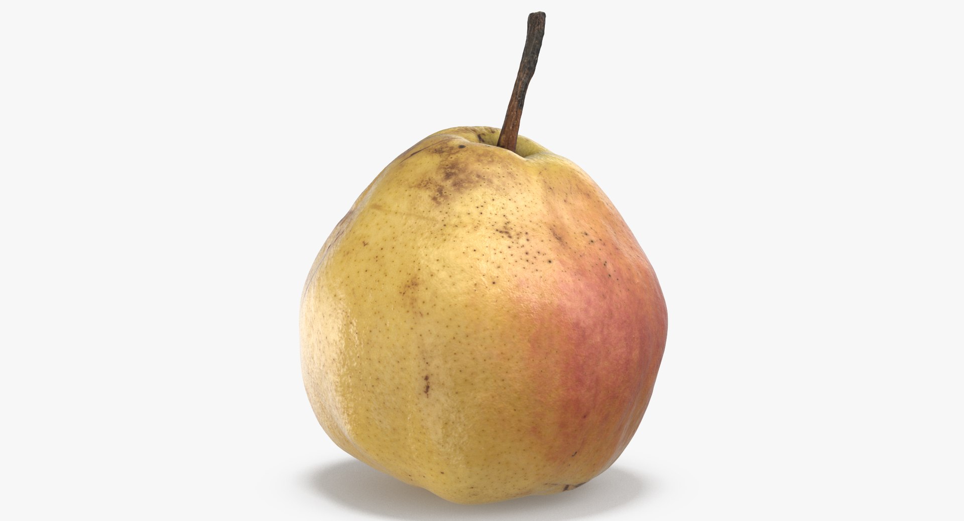 Comice Pear 02 3D Model - TurboSquid 1399246