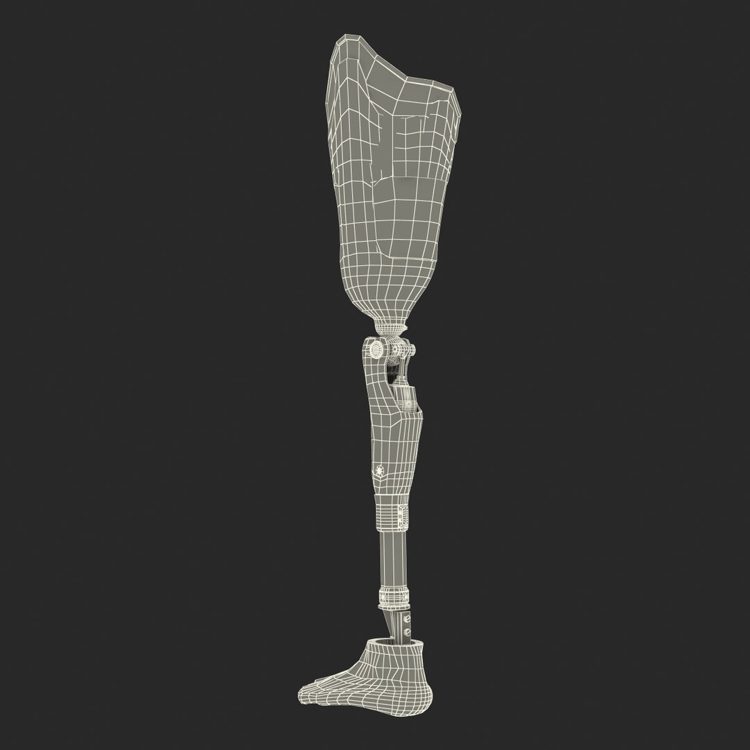 prosthetic leg 3d max