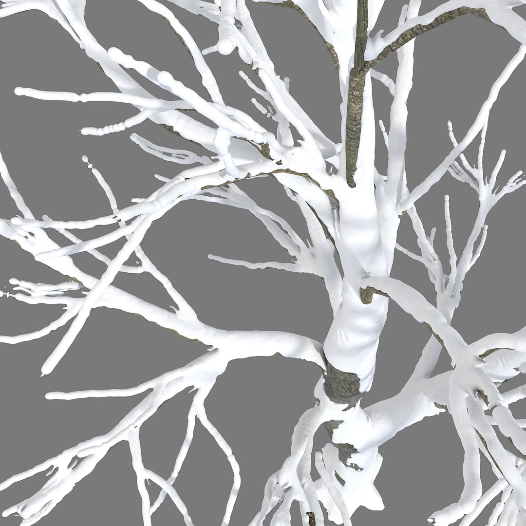 3ds Max Snow