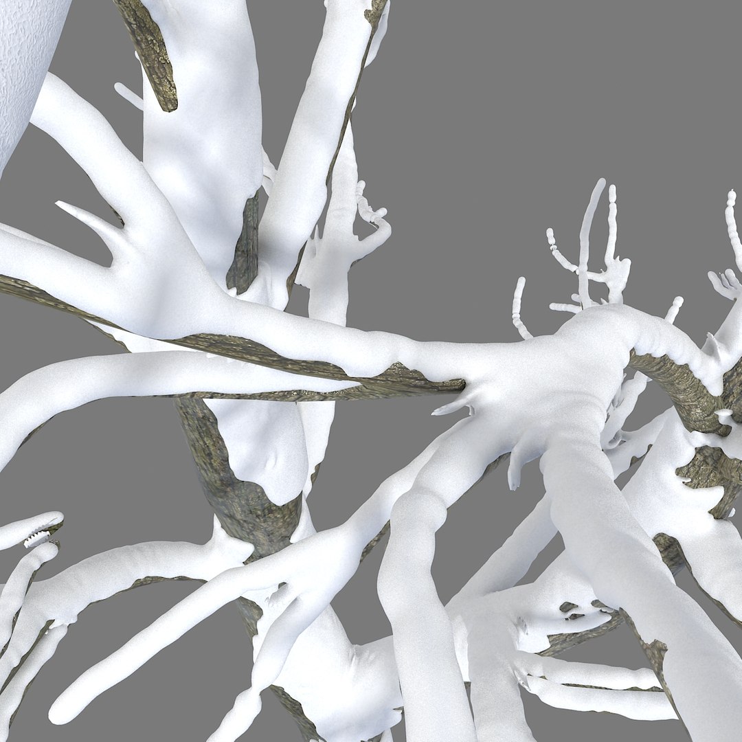 3ds Max Snow