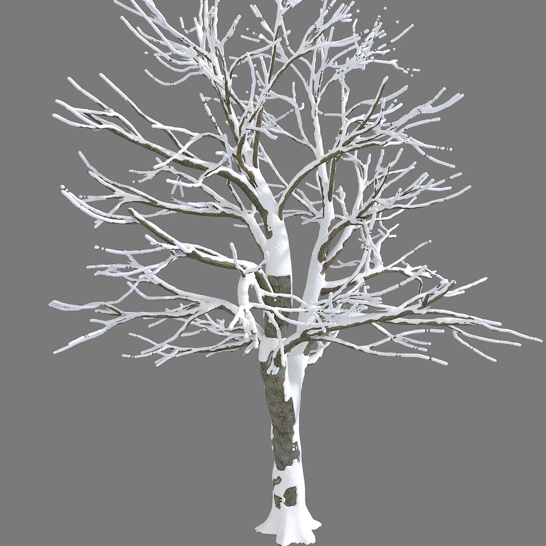 3ds Max Snow