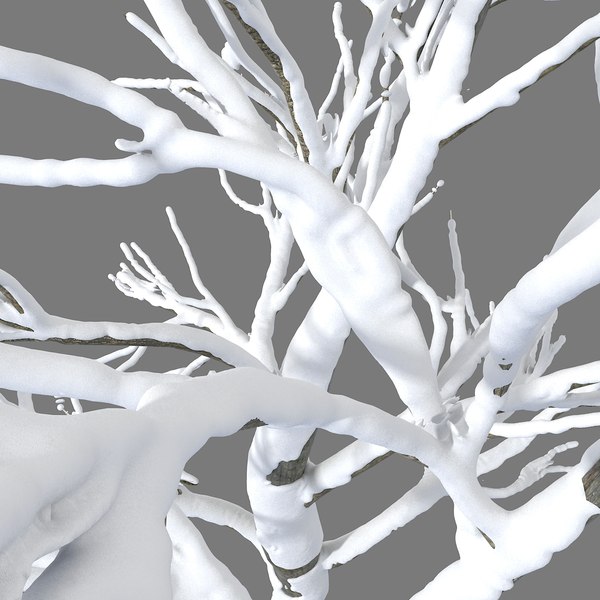 3ds max snow