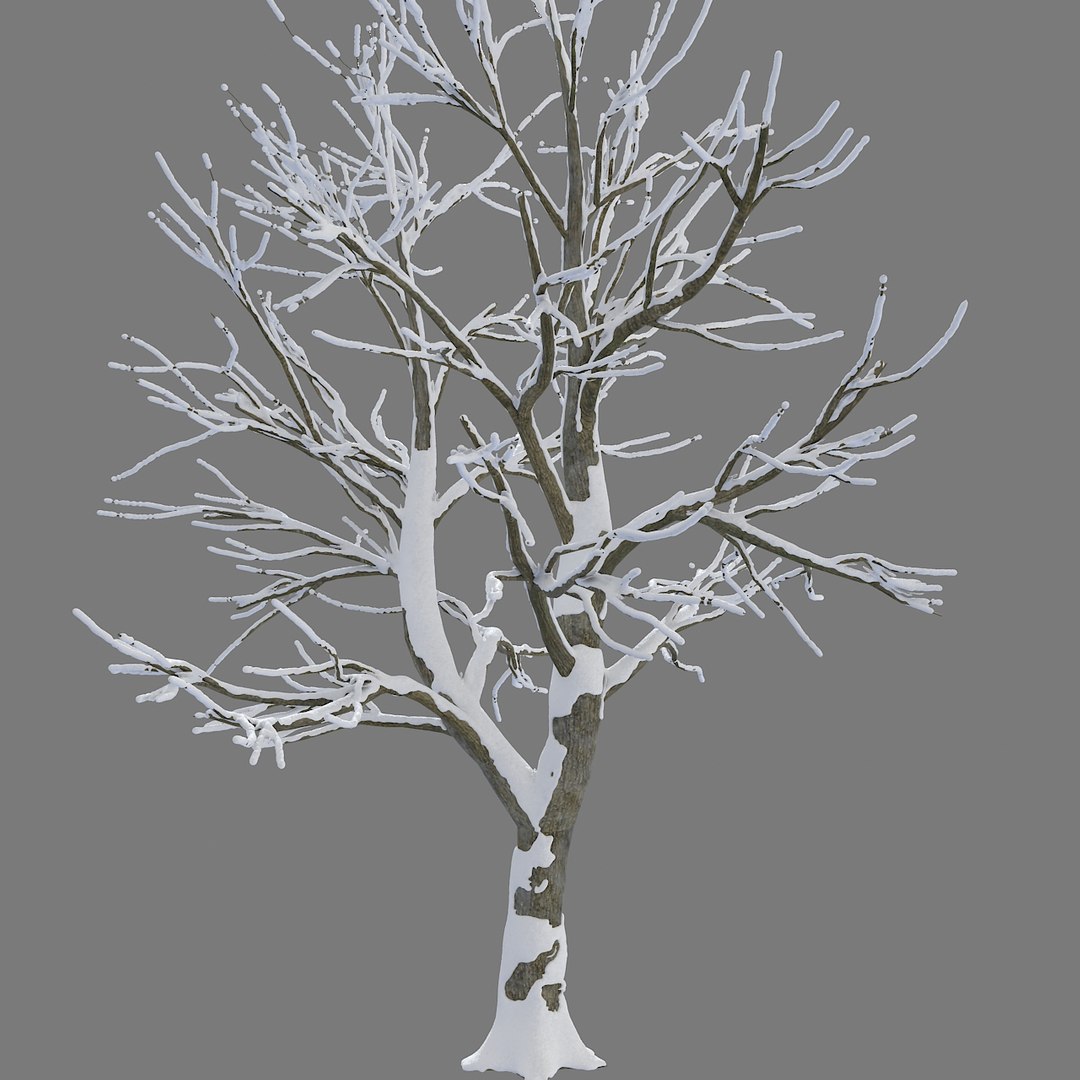 3ds Max Snow