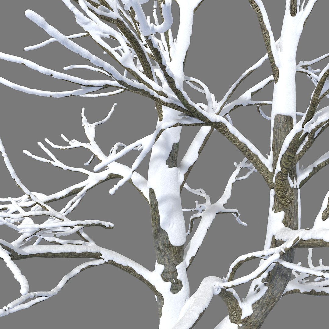 3ds max snow