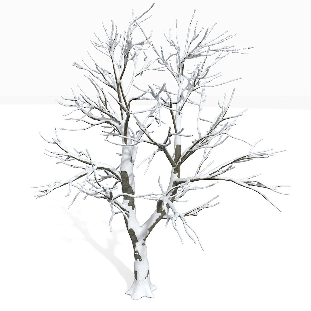3ds max snow