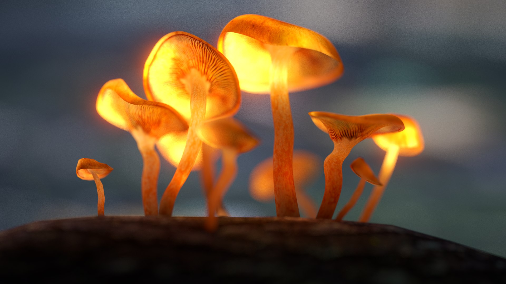 3d Model Magic Mushrooms