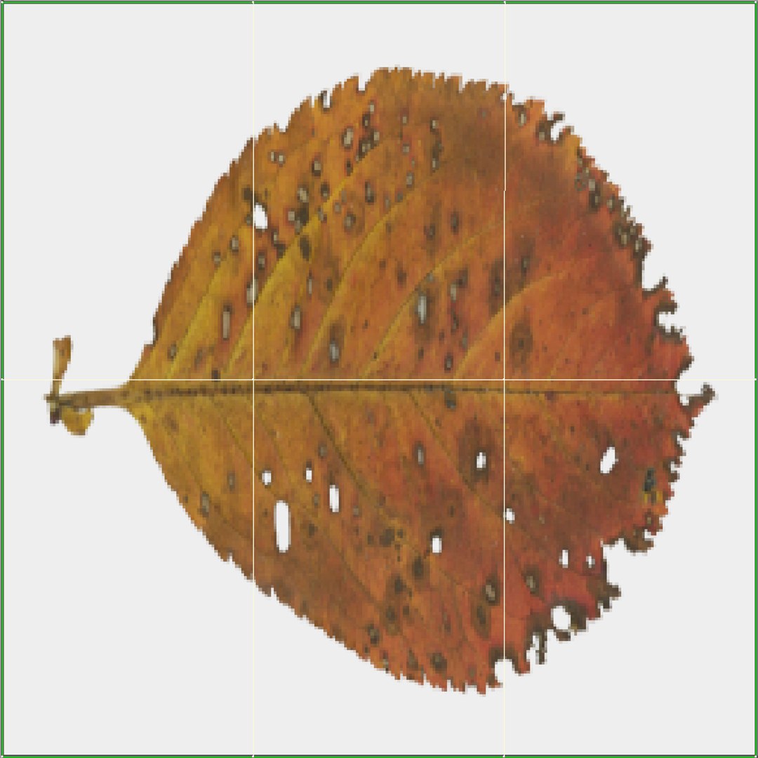 3D Autumn Leaf Model - TurboSquid 1223091
