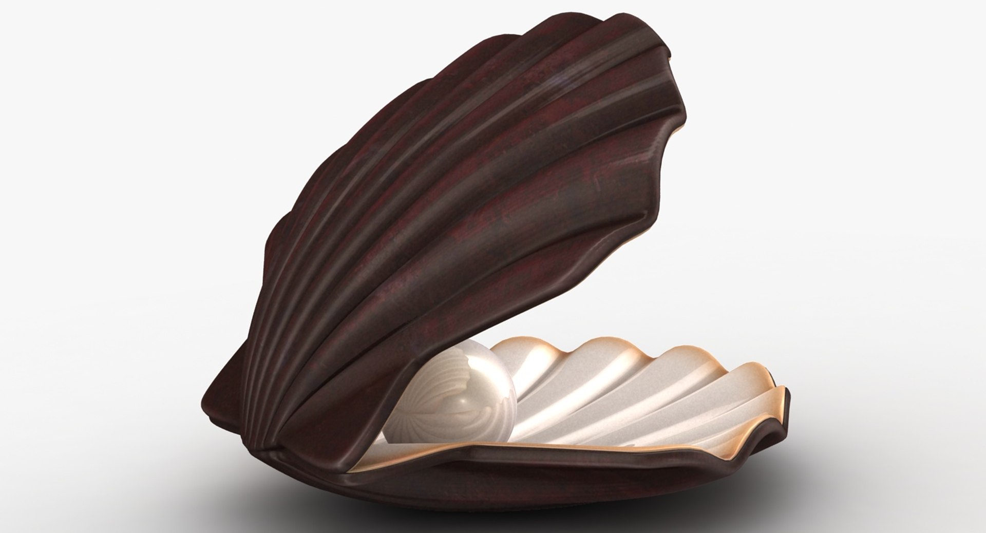 Pearl Shell 3d Max