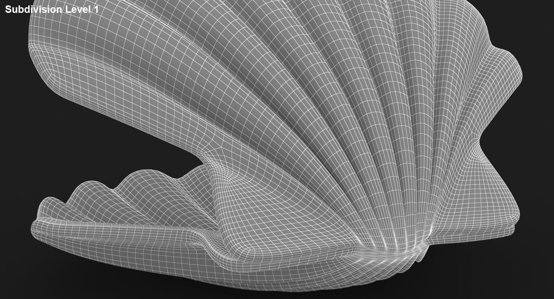 pearl shell 3d max