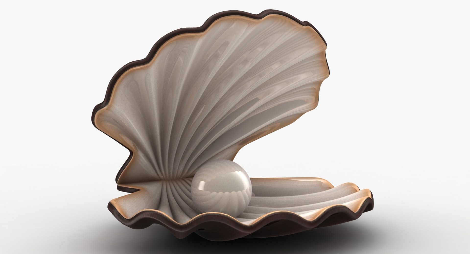 Pearl Shell 3d Max