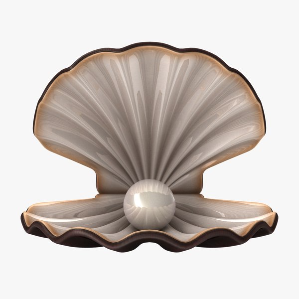 3d nautilus shell cut