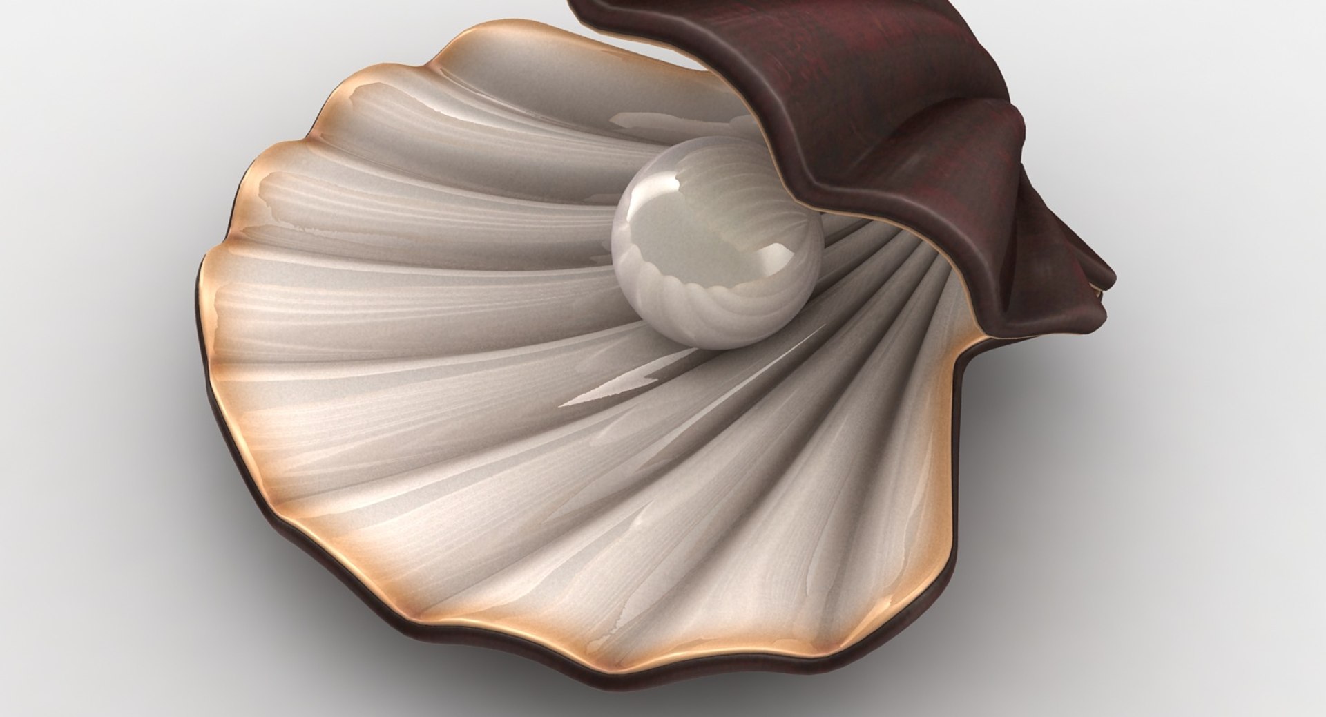 Pearl Shell 3d Max