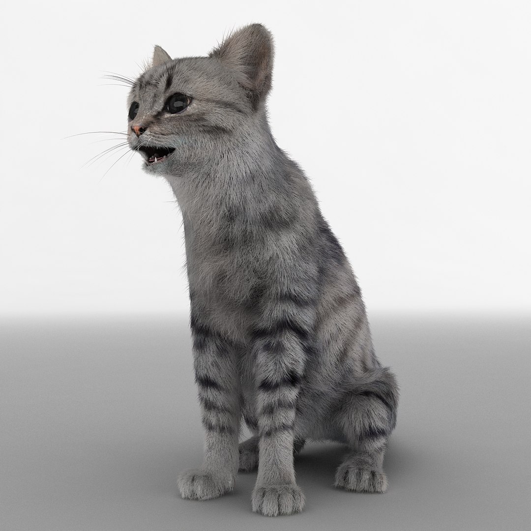 3d model cat 3 fur