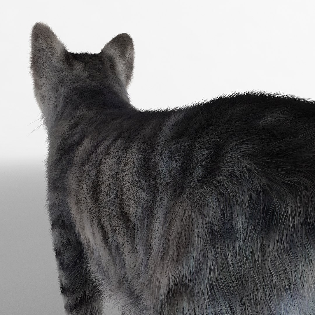 3d model cat 3 fur