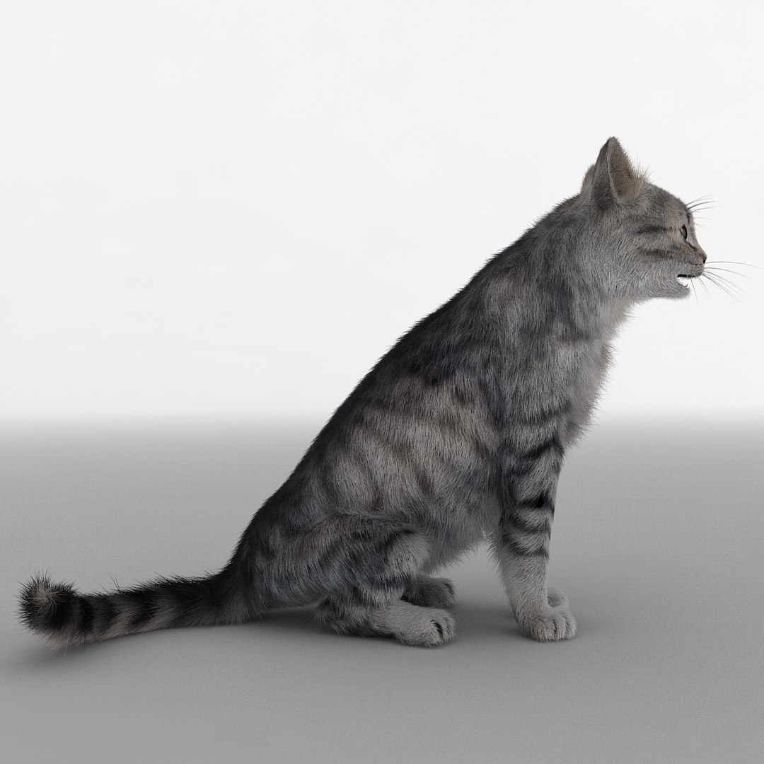 3d model cat 3 fur