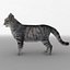3d Model Cat 3 Fur