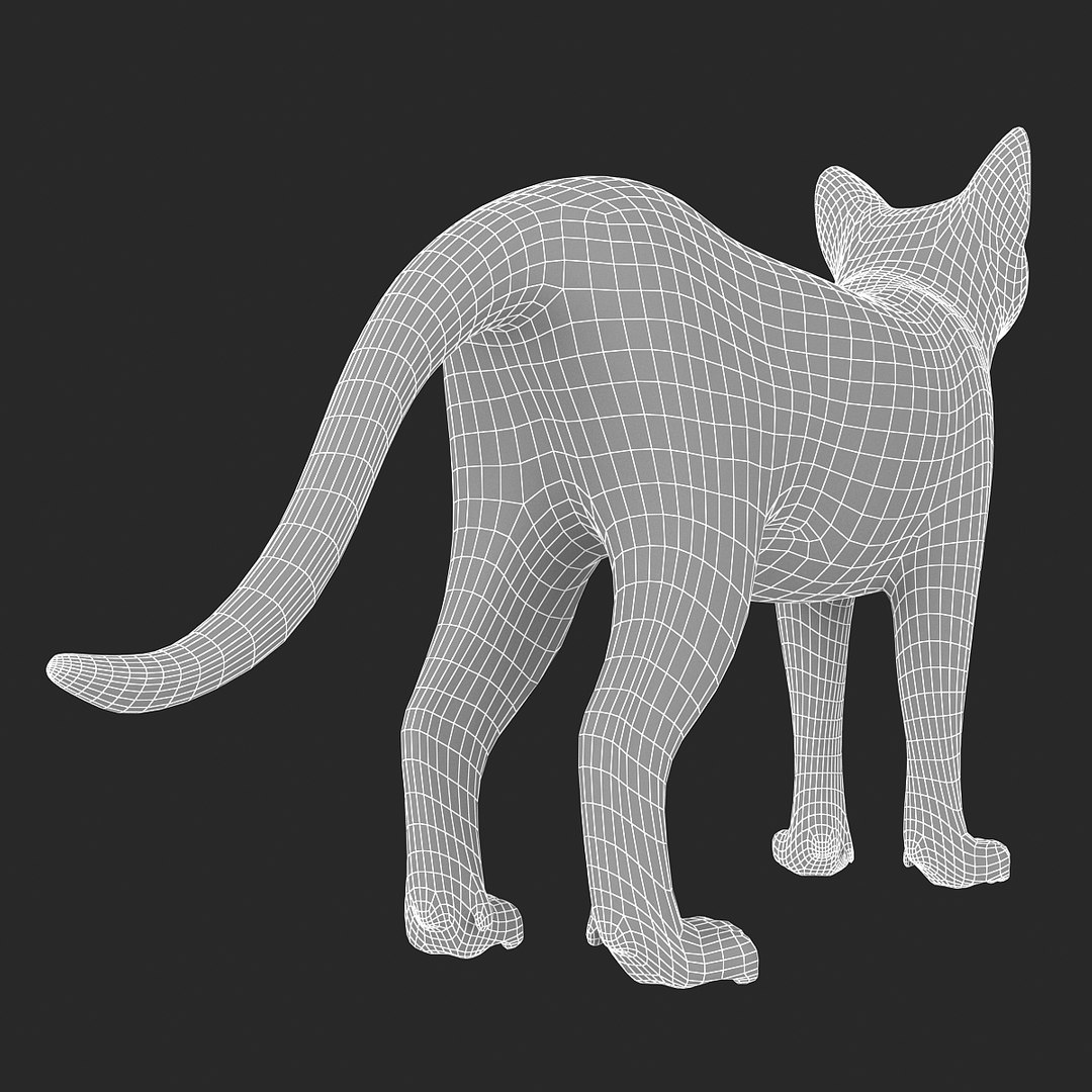 3d model cat 3 fur