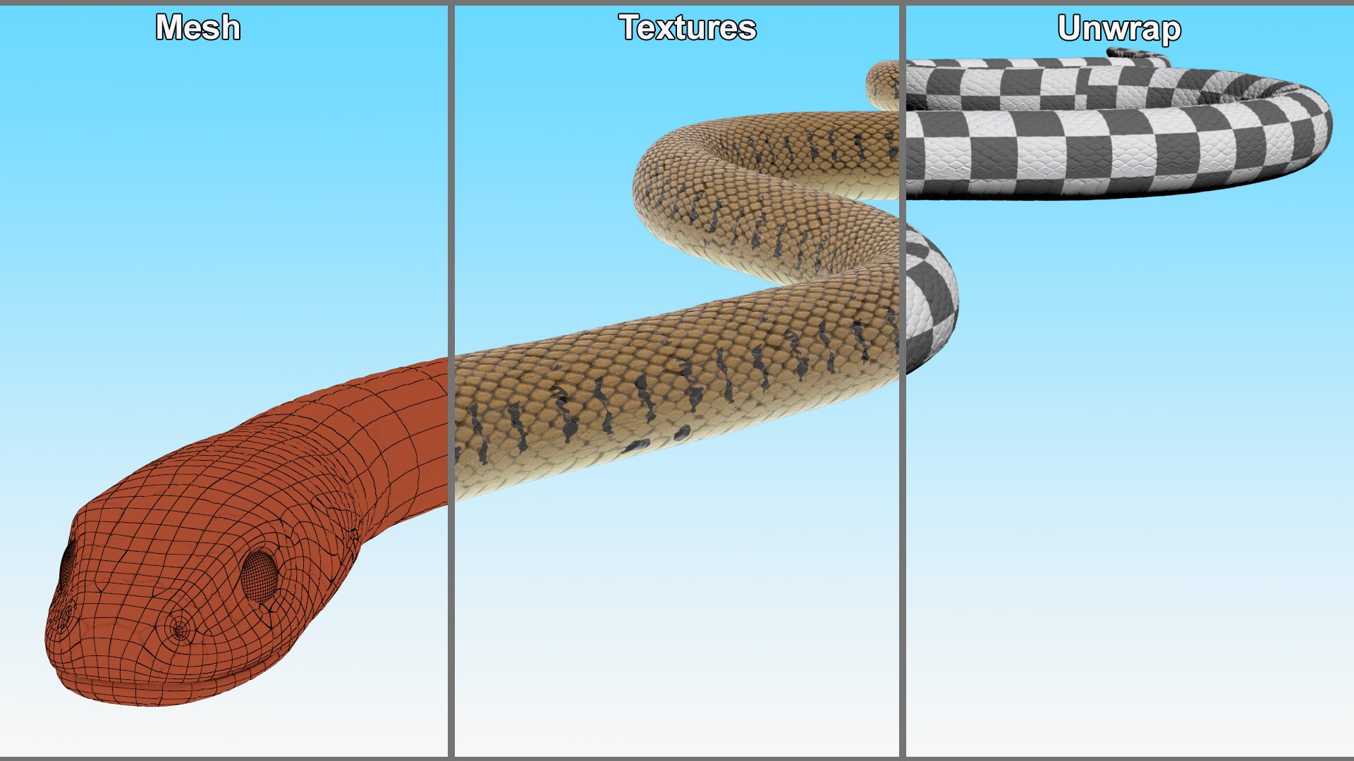 3D Model Water Snake Brown Crawling - TurboSquid 2248697