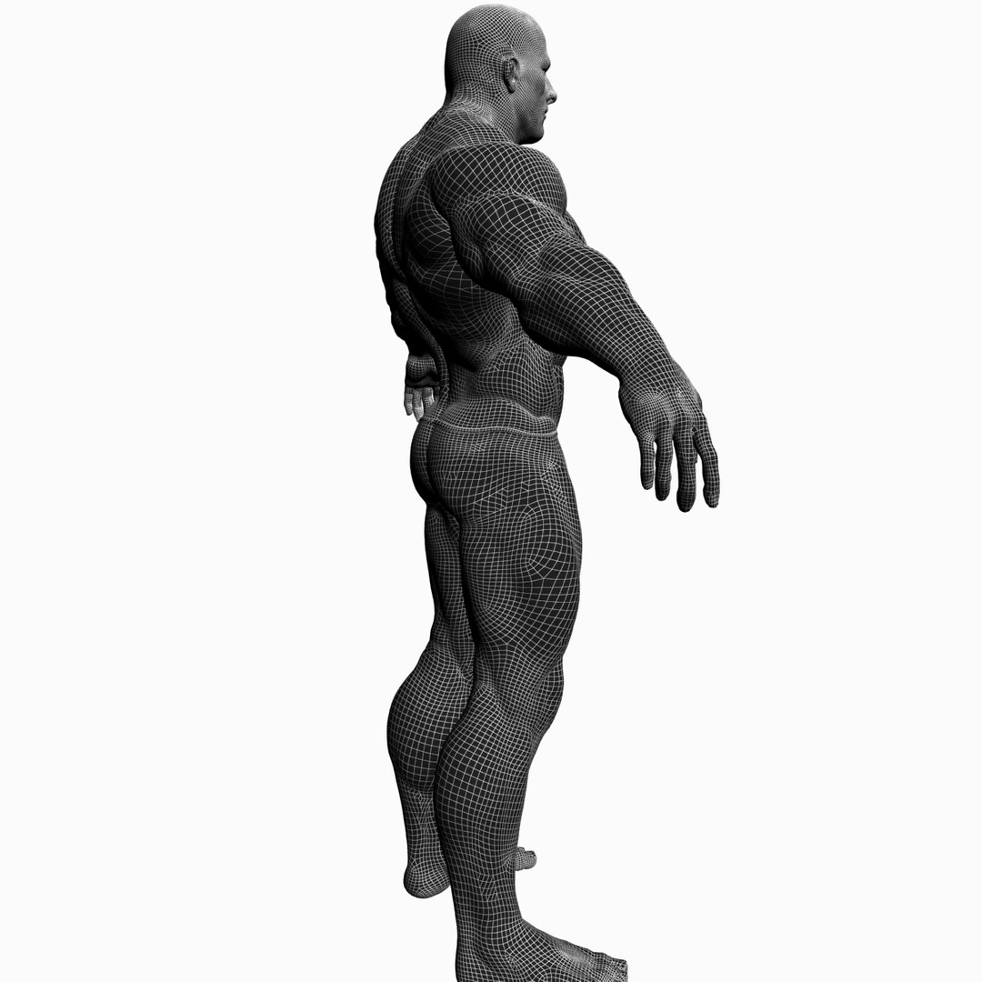 3d Bodybuilder Character