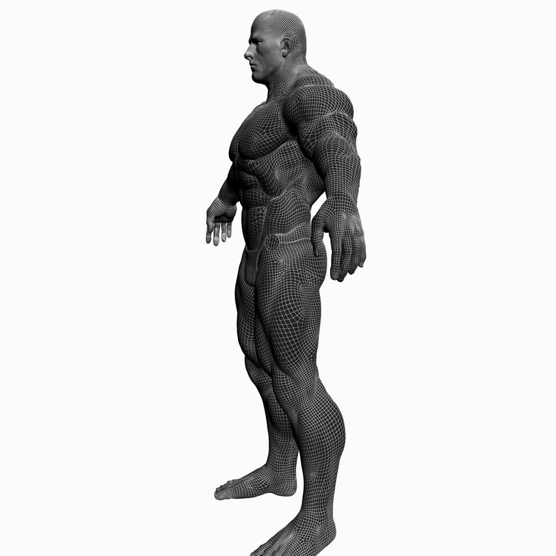 3d Bodybuilder Character