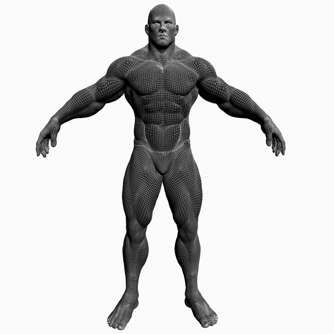 3d Bodybuilder Character