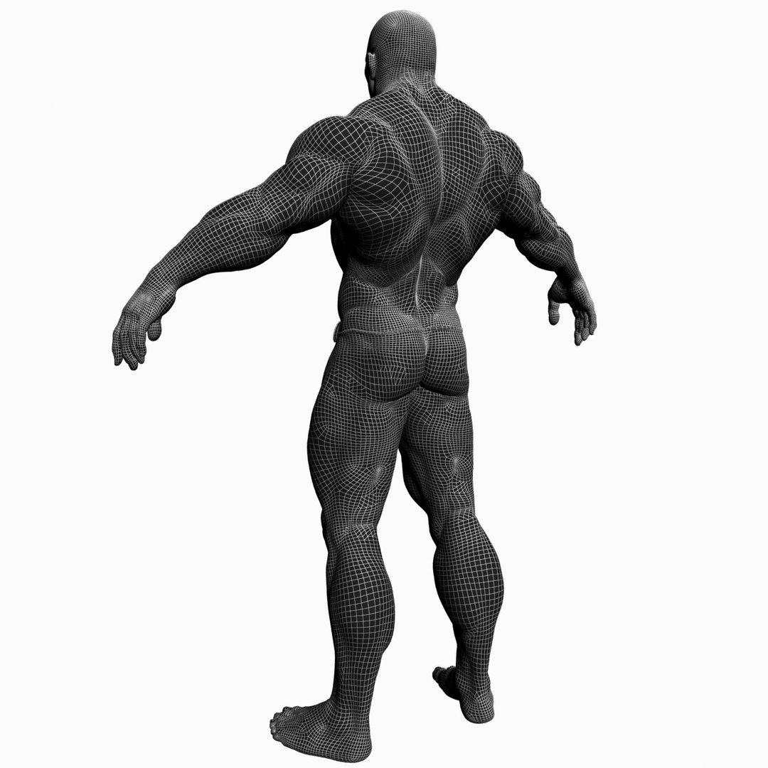 3d Bodybuilder Character