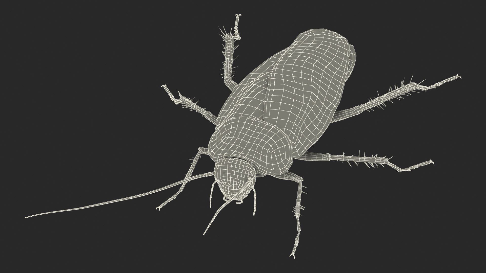 3D Animated Cockroach Running Rigged for Maya model - TurboSquid 2102989