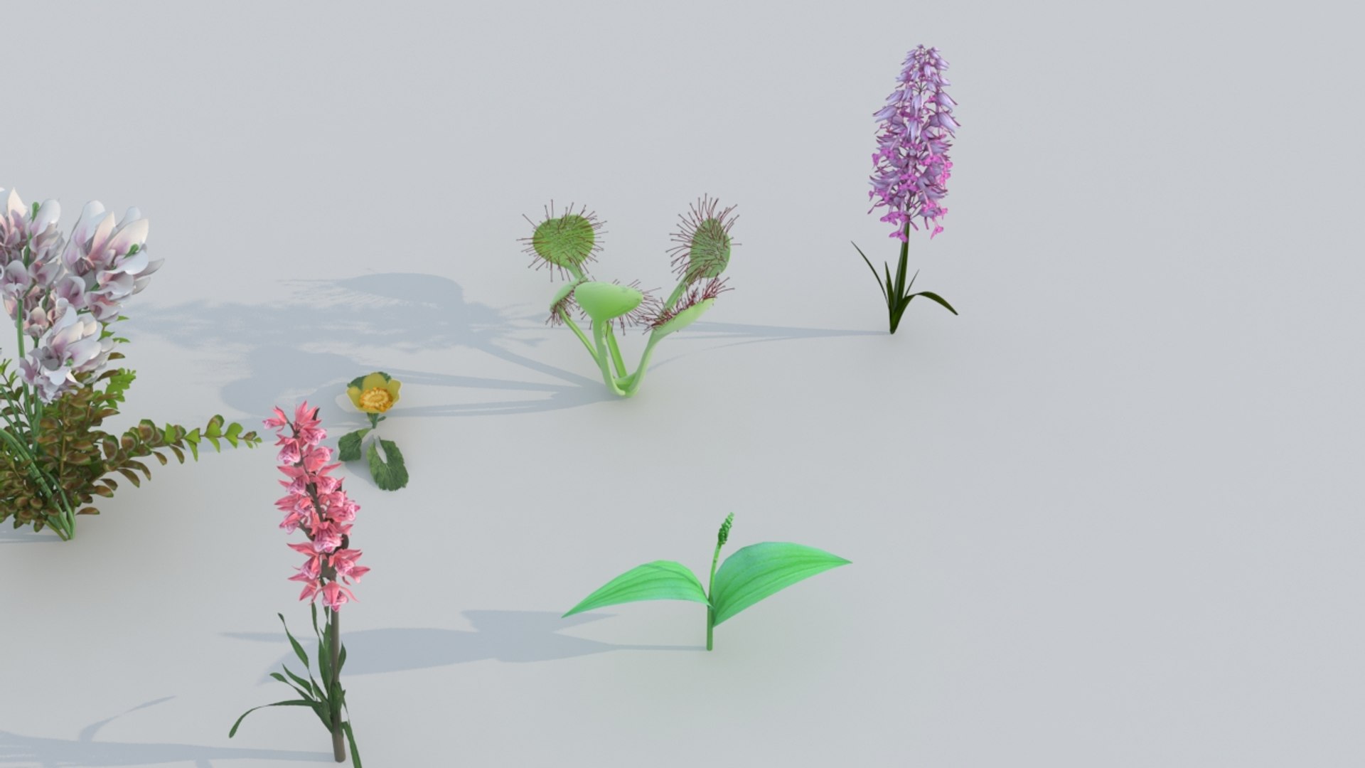 Rare Flowers 3D - TurboSquid 1456029