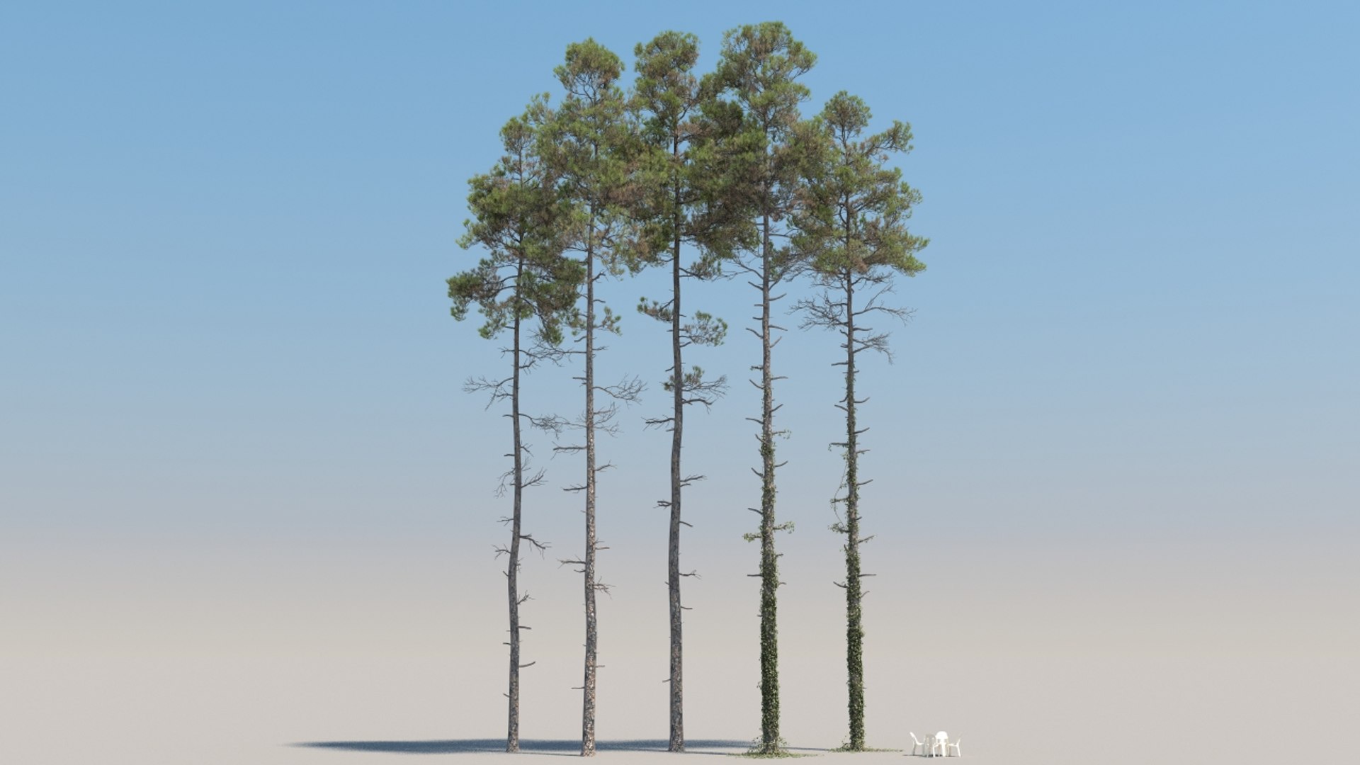 3D Pine Trees - TurboSquid 1628108