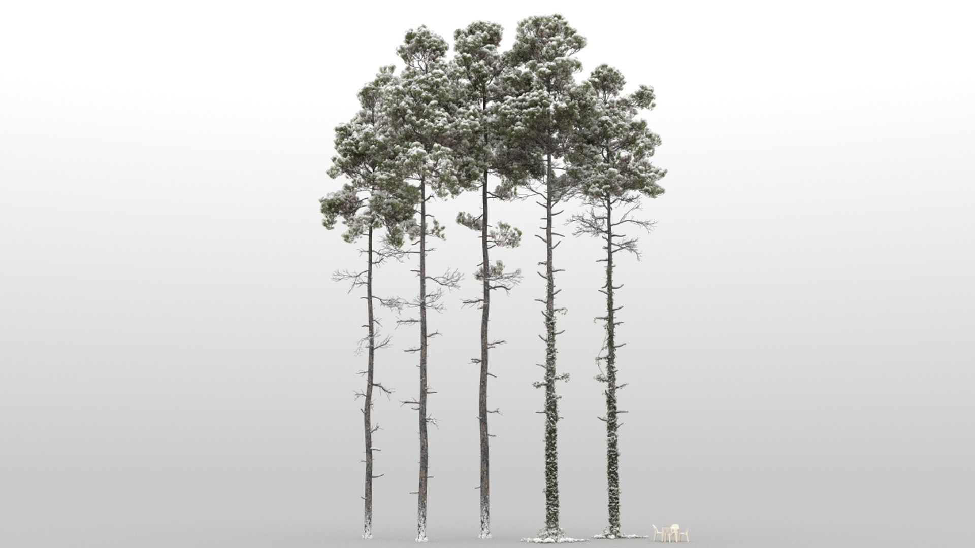 3D Pine Trees - TurboSquid 1628108