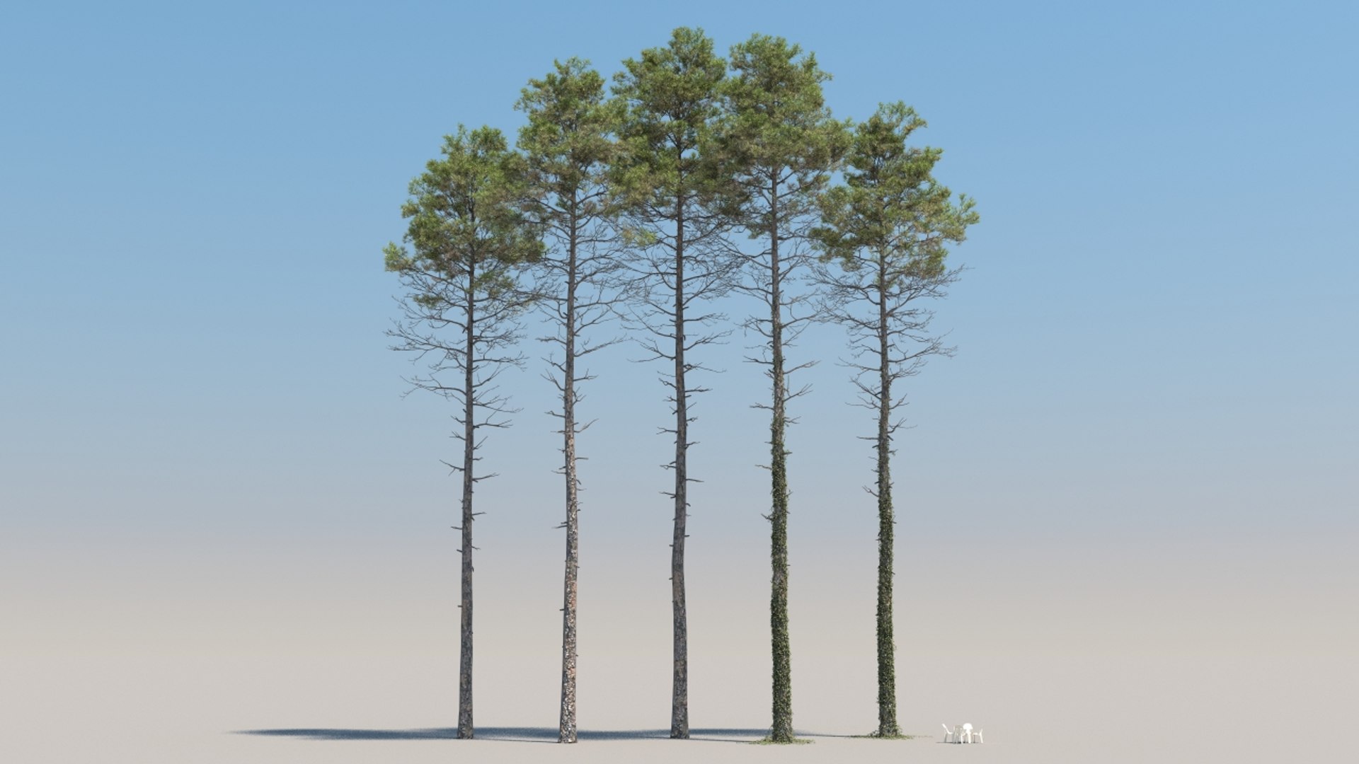 3D Pine Trees - TurboSquid 1628108