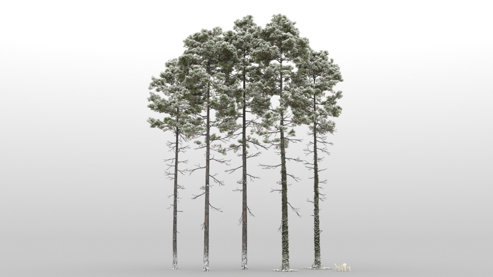 3D pine trees - TurboSquid 1628108