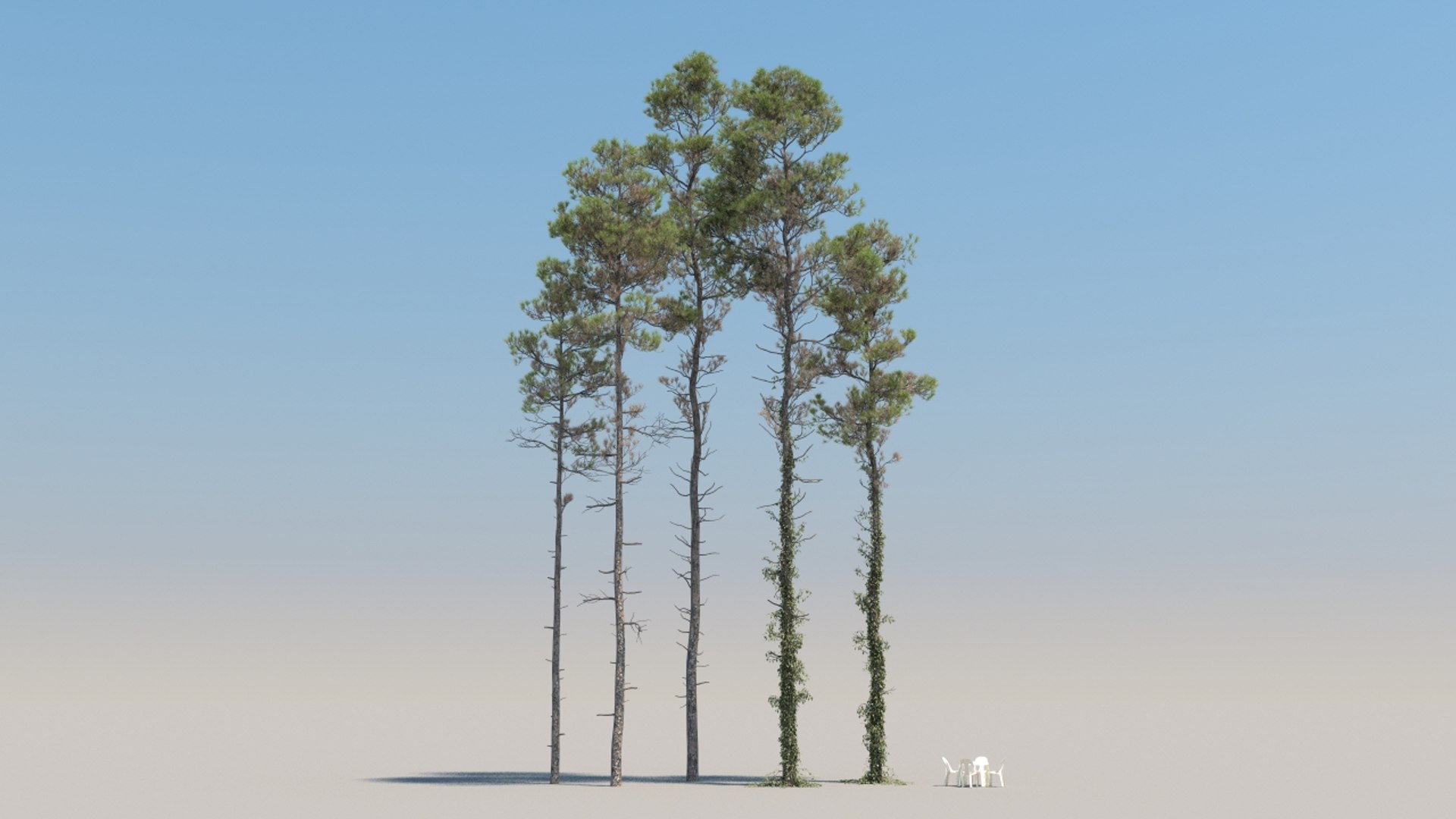 3D Pine Trees - TurboSquid 1628108