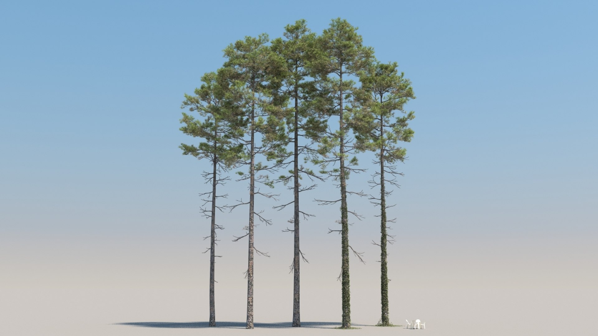 3D Pine Trees - TurboSquid 1628108